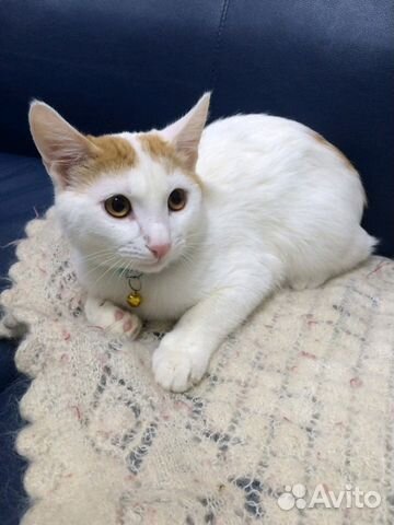 Ванечка 07.06.2018г. 6 мес