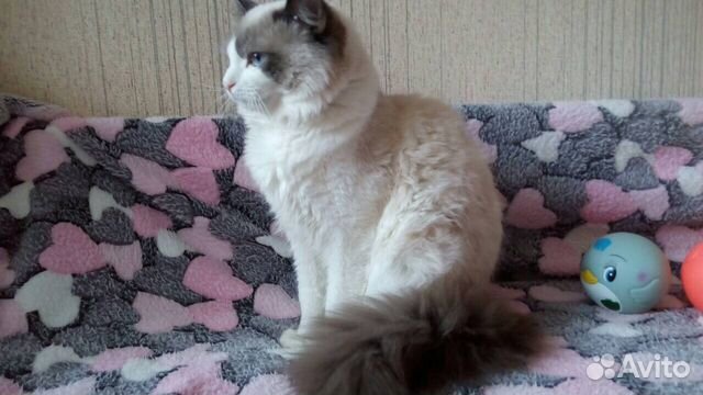 Новогодние куколки