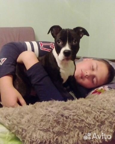 Очень верный друг