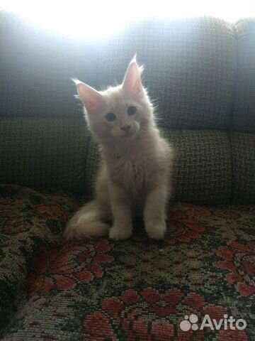 Очень крупный мальчишка