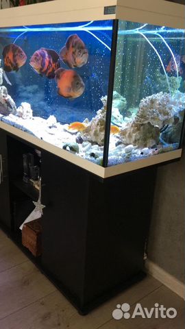 Аквариум
