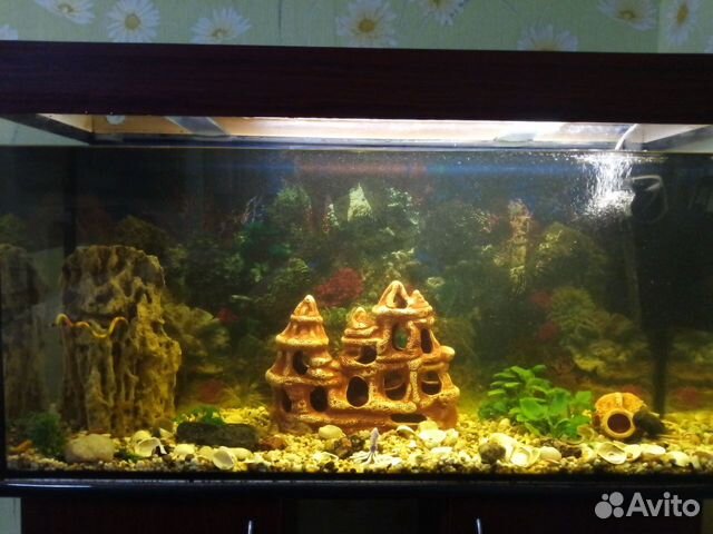 Аквариум 130литров