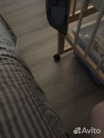 Котёнок Борис, 2 мес (мальчик)