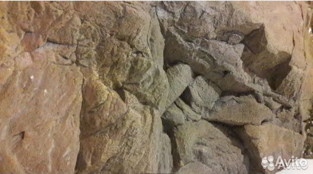 Фон в аквариум