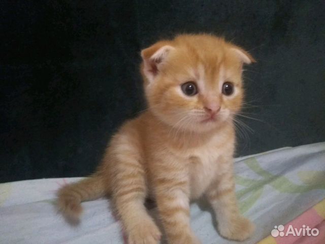 Счастье рядом