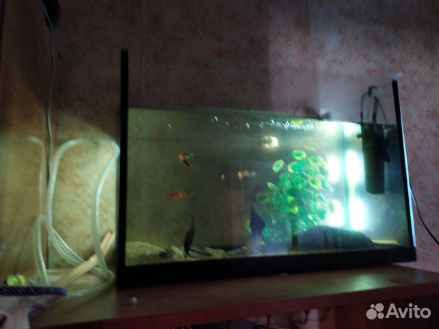 Аквариум