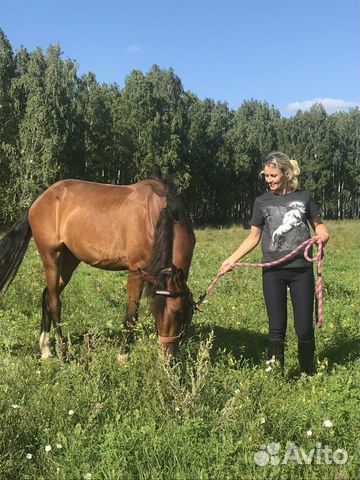 Продаётся мерин Орлово-Тракененской породы