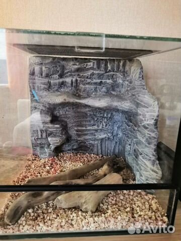 Террариум 25*25*25