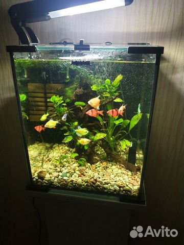 Аквариум