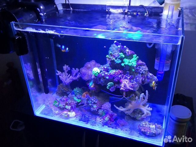 Морской аквариум 50 л