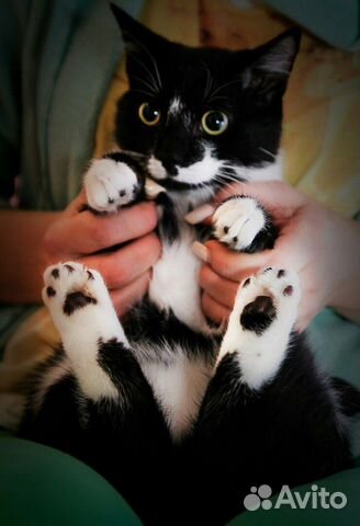 Макар 5-6 мес