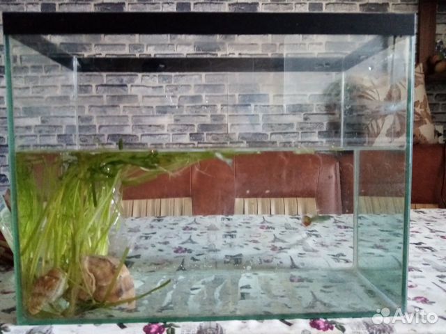 Аквариум 30 л