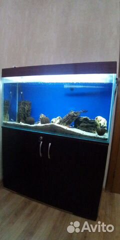 Аквариум