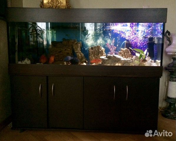 Аквариум