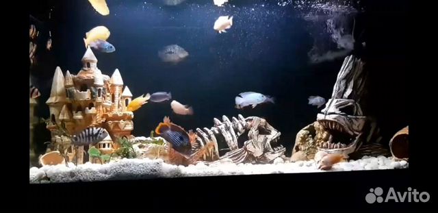 Аквариум 400 литров