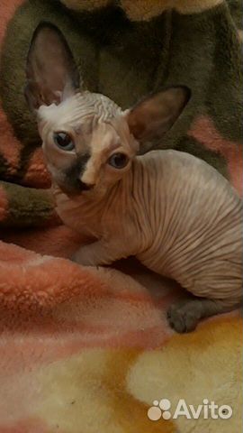 Мультяшка.Девочка