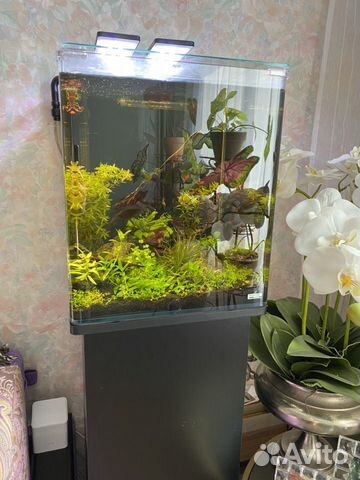 Аквариум nano cube 60 л dennerle