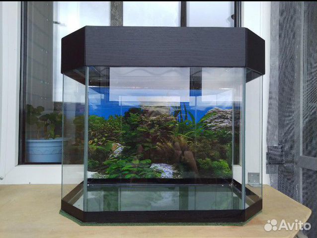 Аквариум