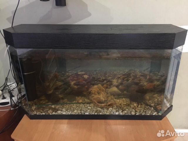 Аквариум