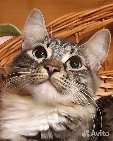 Душечка Дуся. Необыкновенные глаза