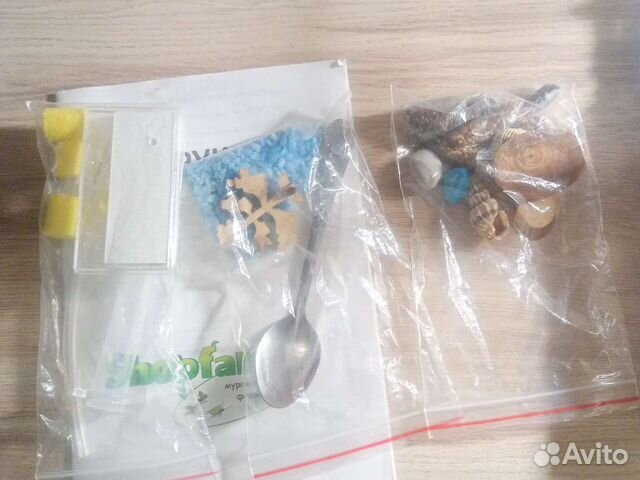 Муравьиная ферма