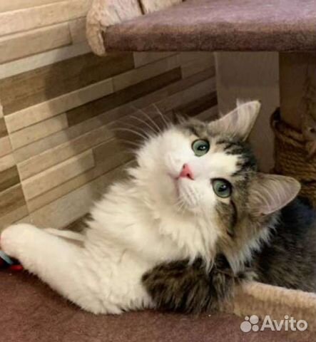 Пухля - лучший друг 8 месяцев