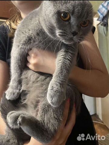 Британская