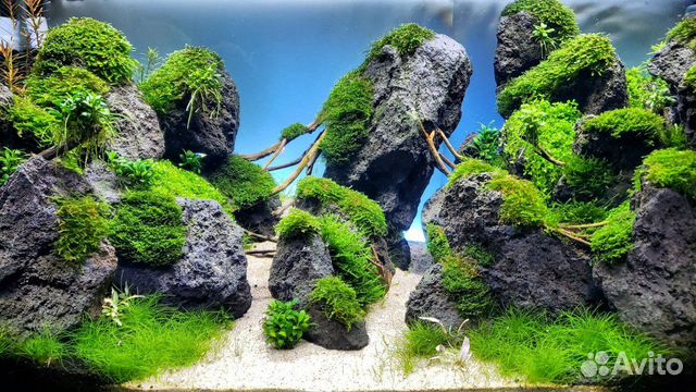 Коряги и камни для аквариума