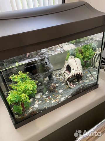 Аквариум tetra 20л. с фильтром, рыбками и кормом