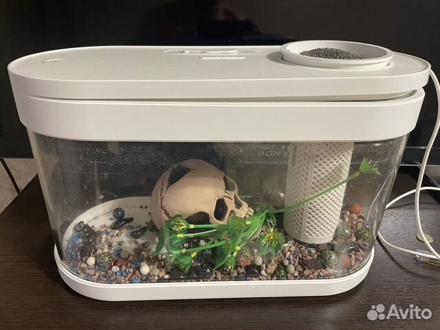 Аквариум Xiaomi