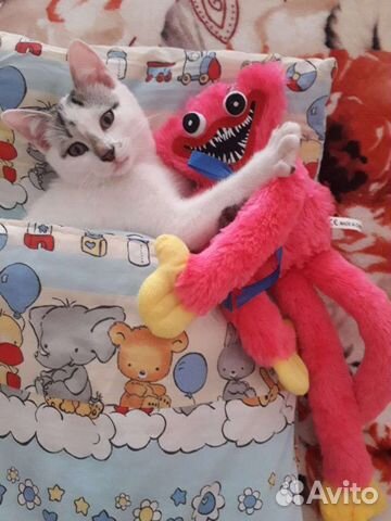 Симпатуля красатуля