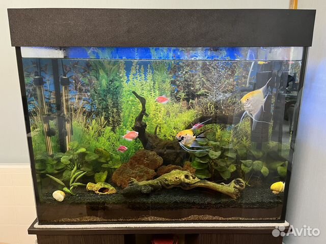 Аквариум 140 литров