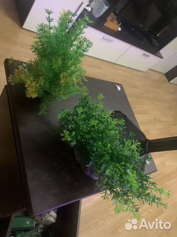 Приспособление для аквариума