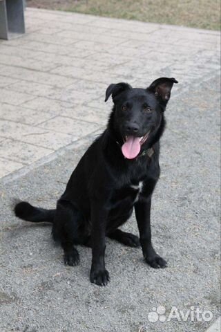 Купер в дар