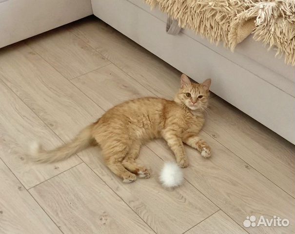 Ах, мальчик-красавчик, сколько девушек вздыхает