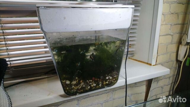 Аквариум