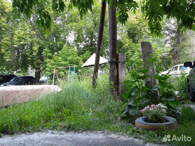 Пчелиная семья