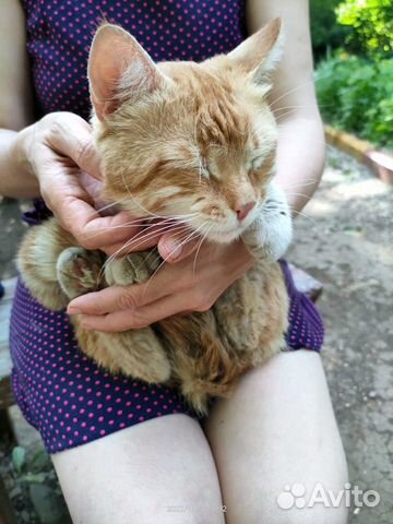 Ну возьмите меня