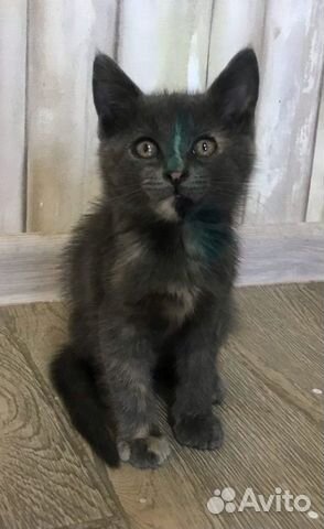 Ну какова красота