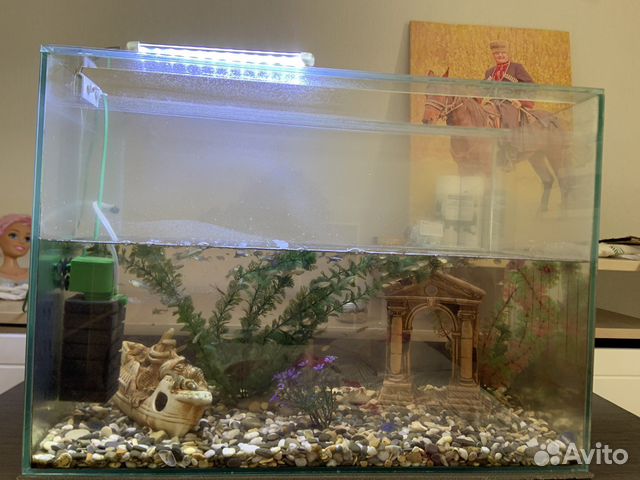 Аквариум