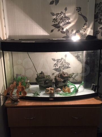 Аквариум 180л