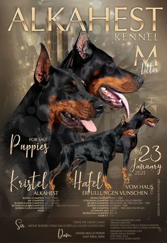 Щенки добермана ч/п и к/п